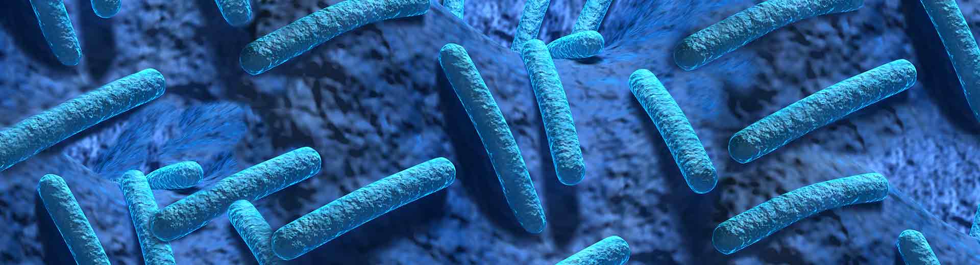 Home | Genova Diagnostics